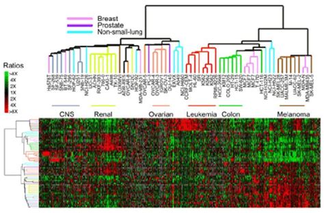 Microarray And Sequencing Resource Dna Probe Science Biology Biology