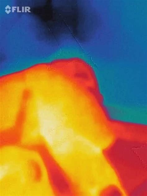 Solo In Thermal Imaging Gay Masturbation Masturbation Porn Feat Chris Noln Xhamster