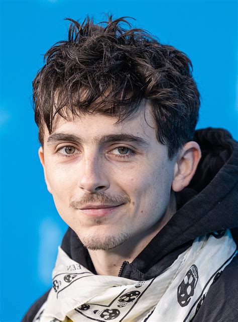 File:Timothée Chalamet-63482 (cropped).jpg - Wikimedia Commons