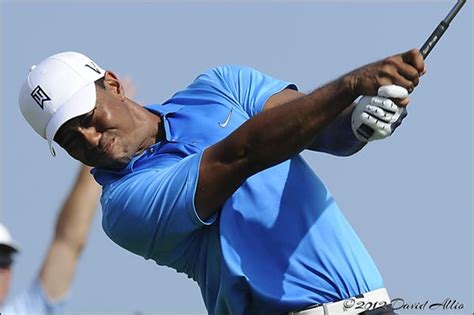 David Allio Visual Artist Davidallio Profile Pinterest