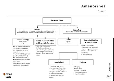 Primary Amenorrhea Algorithm