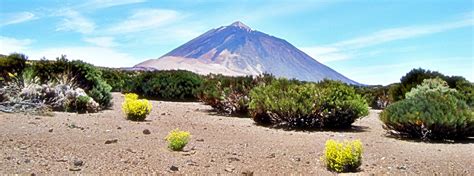 APRENDER A PROGRAMAR CON PYTHON T ASSERT AFIRMACIONES DIME LA VERDAD