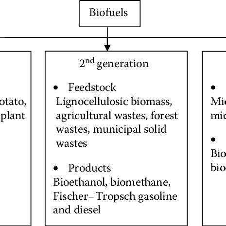 PDF Biofuel Production From Algal Biomass