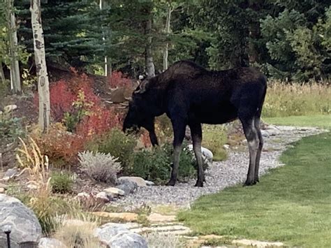 Beaver Run Resort And Conference Center Come Up And Enjoy The Snow While Its Here Before You