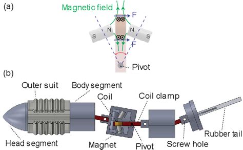 Figure 2 From Design And Experimental Learning Of Swimming Gaits For A