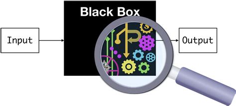 Understanding Black Boxes