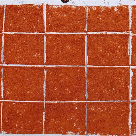 Prepared Samples Spread In Thin Layer Over 20 Equal Sized Cells On An