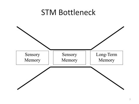 Ppt Sensory Memory And Short Term Working Memory Powerpoint
