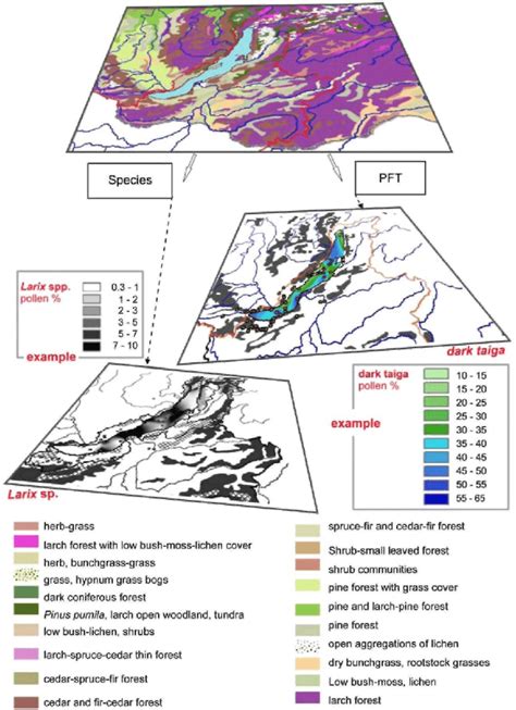 Schematic Diagram Of The Assembly Of New Vegetation Maps From The Download Scientific Diagram