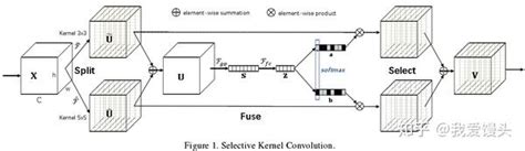 后ResNet时代SENet与SKNet 知乎