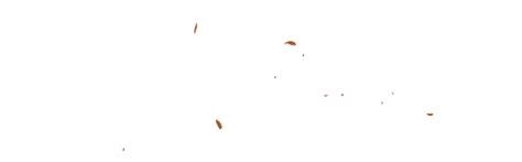 Download Autumn Leaves SVG FreePNGImg