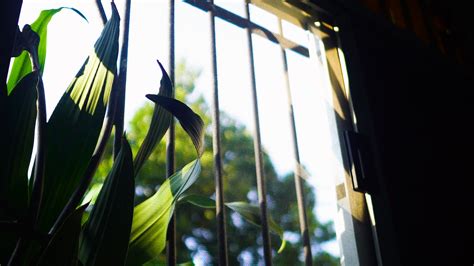 How To Clean Quartz Crystals Steps With Pictures WikiHow