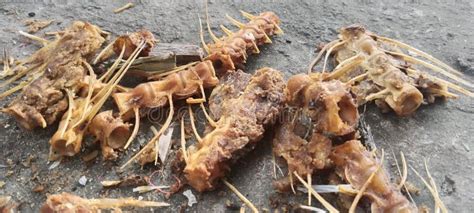 The Form Of Fish Bones Remaining After Eating Stock Image Image Of