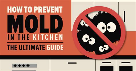 How To Prevent Mold The Ultimate Prevention Tips Guide Mold Busters