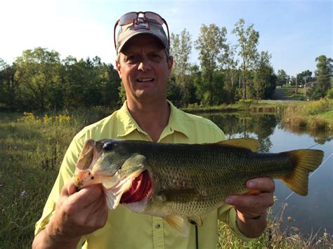 Bass Spawning Season Archives Briarwood Sporting Club
