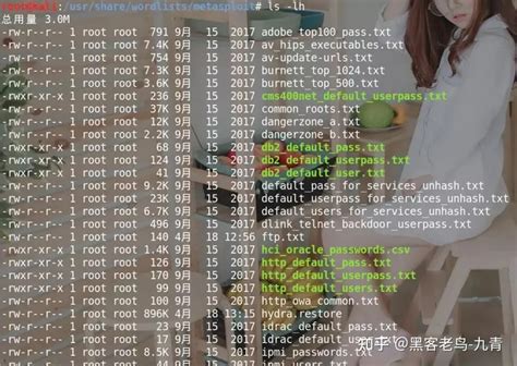 黑客工具之hydra详细使用教程 hydra工具 csdn博客