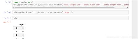 机器学习sklearn库下载iris数据集转换成csv文件 iris csv csdn博客