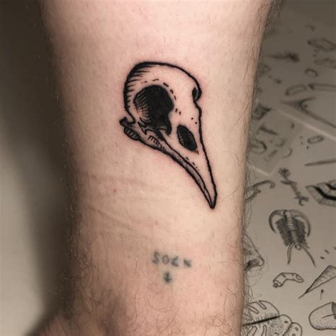 13 Bird Skull Tattoo Ideas Bird Skull Tattoo Skull Tattoo Bird Skull