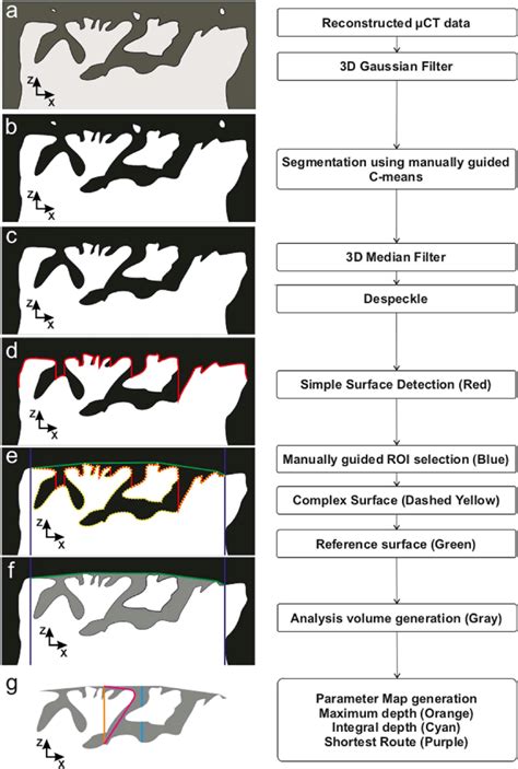 Flowchart And 2d Slice Example Of Data Analysis Procedure A Raw