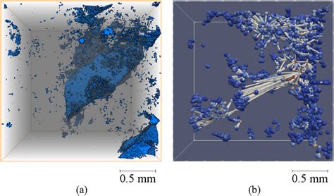 3‐d Visualizations Of A Digital Rock And Corresponding B Pore