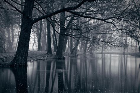 Dark Park By Syrjusz On Deviantart