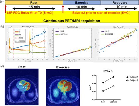 A Continuous 18‐fluorodeoxyglucose 18f‐fdg Positron‐emission Download Scientific Diagram