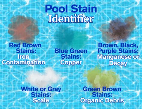 How To Identify And Get Rid Of Pool Stains For Good Mid America Pool