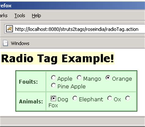 Struts2 Radio Tag Form Tags
