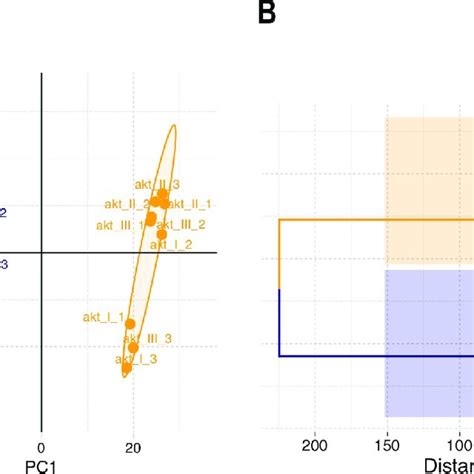 Results Of The Principal Component Analysis A And Hierarchical