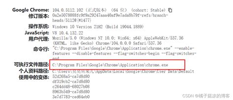 【已解决】chromedriver‘ Executable Needs To Be In Pathchromedriver