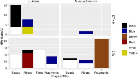 Abundance Of Microplastics Mps In The Tissues Of L Festae And M