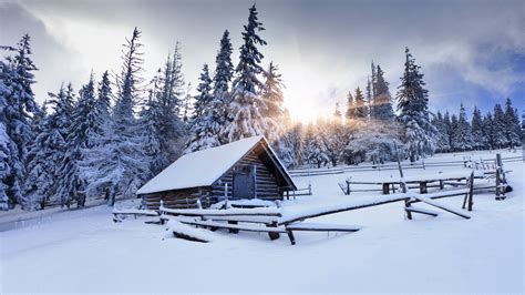 Картинки зима ліс ялинки сніг будиночок обои 1920x1080 картинка №552442