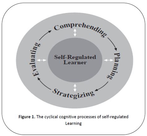 Self Regulation Learning Model At David Masterson Blog