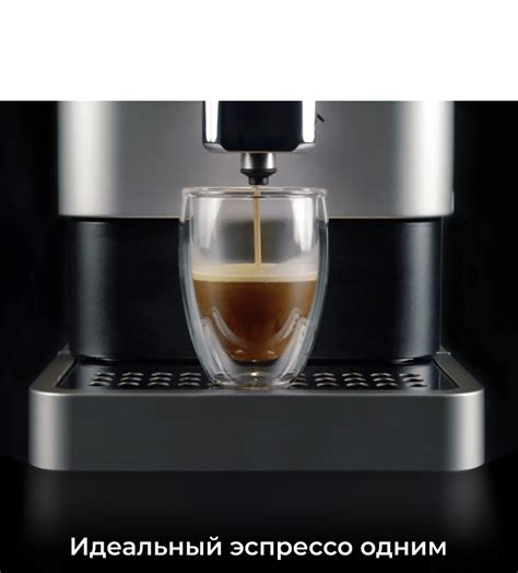 Кофемашина GARLYN L1000 Secret Garden купить в официальном магазине ...
