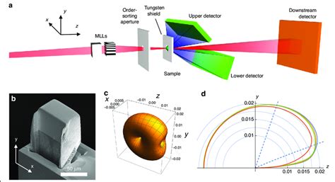 Scanning Compton X Ray Microscopy A Schematic Of The Microscope B Download Scientific Diagram
