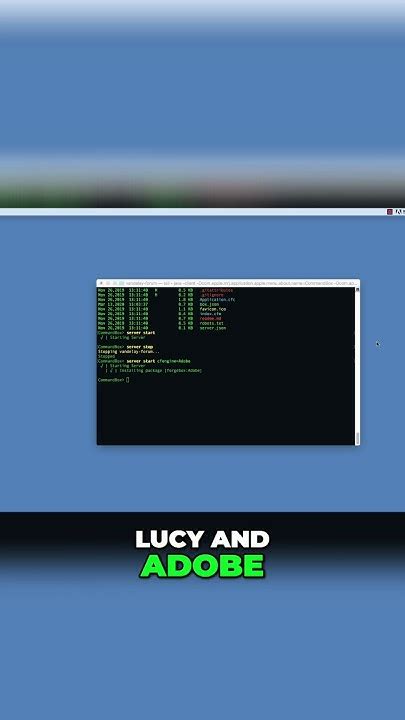 Maximizing Efficiency Switching Between Adobe And Lucy Cf Engines