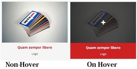 9 Best Magento Image Hover Extensions Free And Paid In 2024