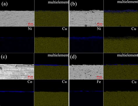 Cross Section Morphology And Element Distribution Of A Coating 1 B Download Scientific Diagram