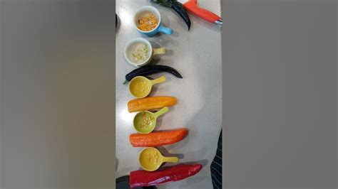 키다리파프리카 고추 주렁주렁🌶 첫수확과 씨앗 파종과정 텃밭농사 Youtube