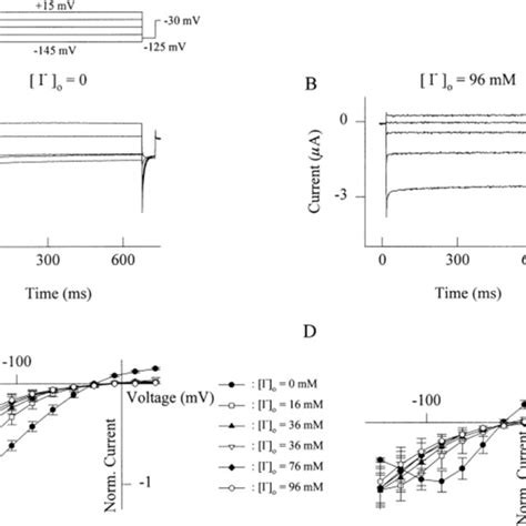 Effect Of Other Extracellular Anions On Hclc 1 Expressed In Xenopus