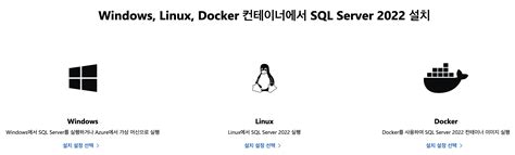 m1 mac microsoft sql server 설치