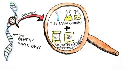 Introvert Archives Magical Daydream