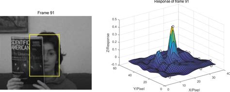 A Target Tracking Method Based On Adaptive Occlusion Judgment And Model