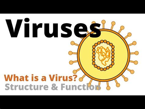 Simple Virus Structure