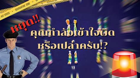 2n 6 แปลว่ายังไงกันแน่ สิ่งที่เด็กเรียนชีวะเกือบทุกคนต้องเคยเข้าใจ