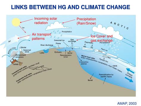 Ppt The Atmospheric Cycle Of Mercury And The Role Of Coal Based