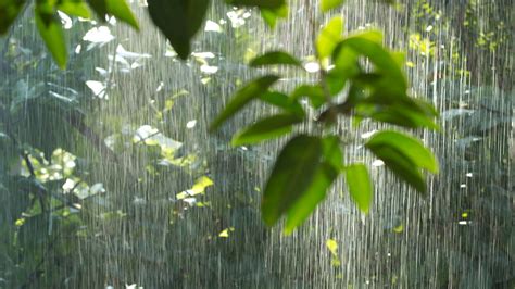 Scientists Puzzled By Unexpected Discovery While Analyzing Heavy