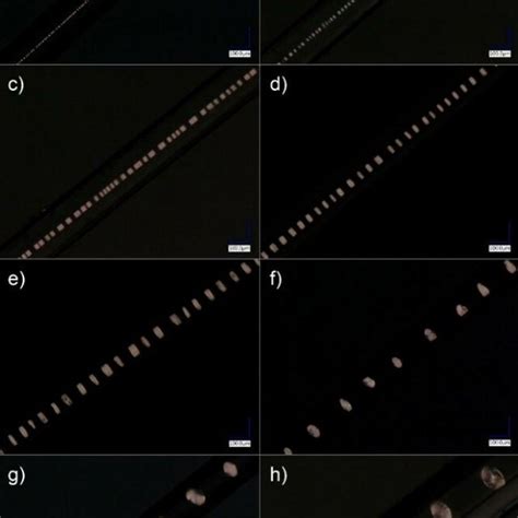 Self Assembled Periodicity Induced By Nematic Isotropic Phase