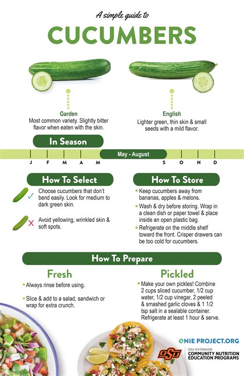 Cucumber A Simple Guide English By The Onie Project Issuu