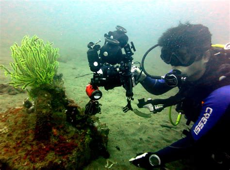 Muck Diving Paradise In Dauin Philippines World Adventure Divers